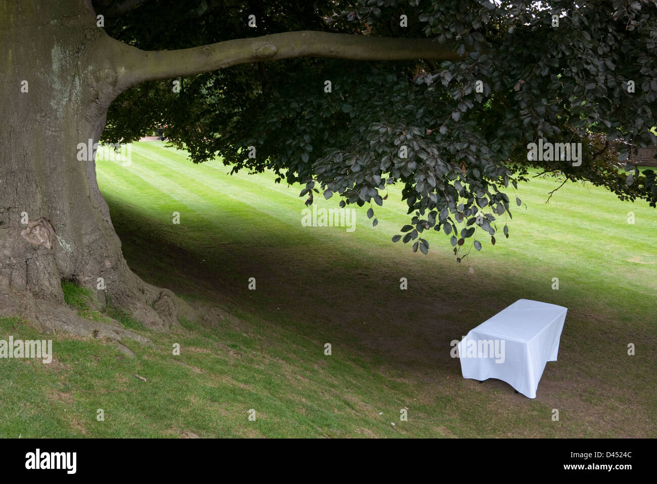 table with white tablecloth under a tree Stock Photo - Alamy