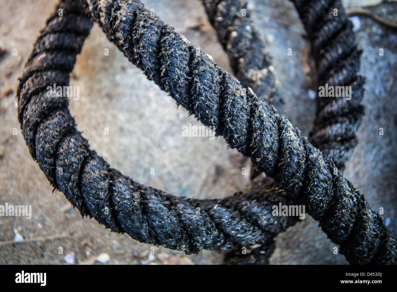fregene, italy, europe Stock Photo - Alamy