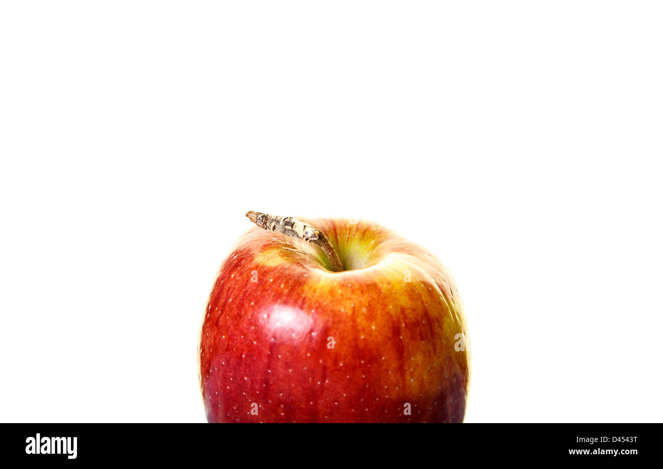 A red macintosh apple isolated on a white background Stock Photo - Alamy