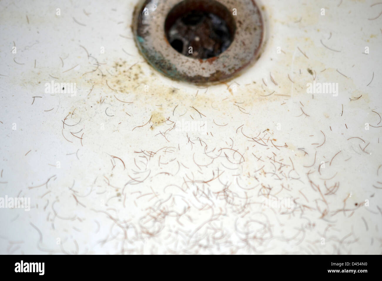 dirty sink full of hair shavings Stock Photo - Alamy