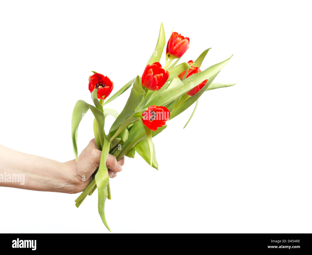 Hand with bunch of tulips Stock Photo - Alamy