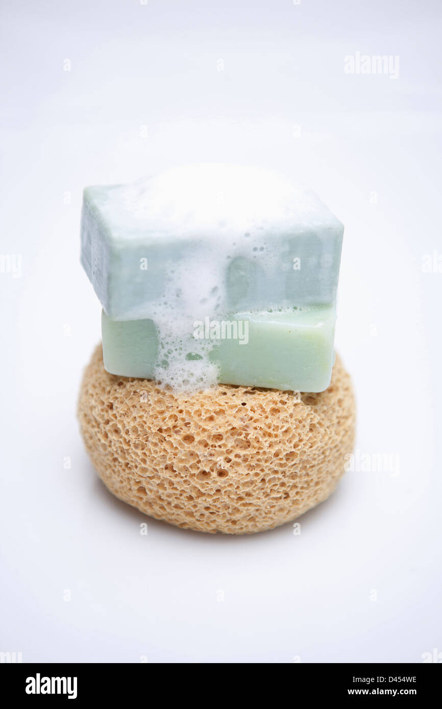 wet soap on a bath sponge Stock Photo - Alamy