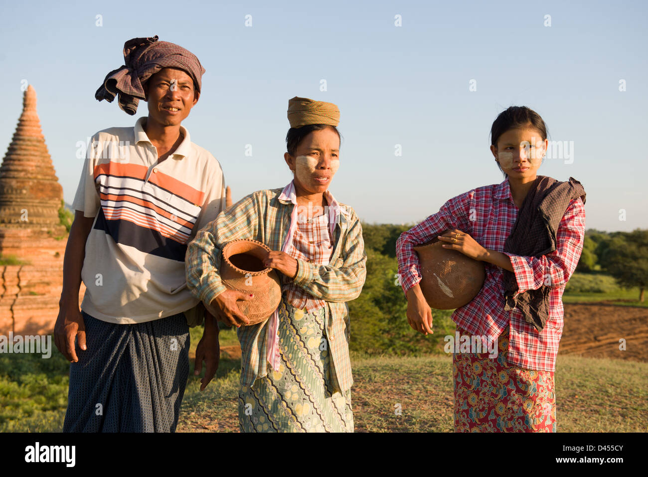 traditional asian farmer coming back from a harvest rice field in bagan ...