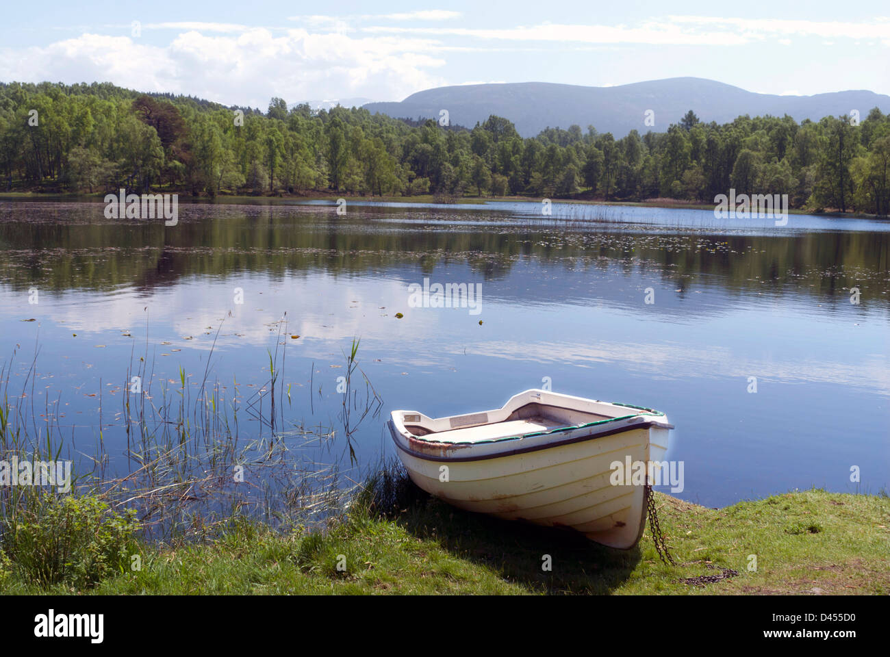 Rothiemurchus hi-res stock photography and images - Alamy