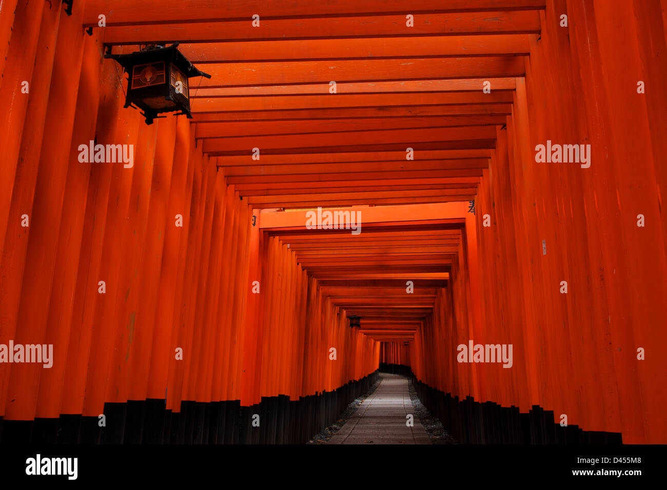 Torii Gates at Fushimi Inari Shrine Stock Photo - Alamy