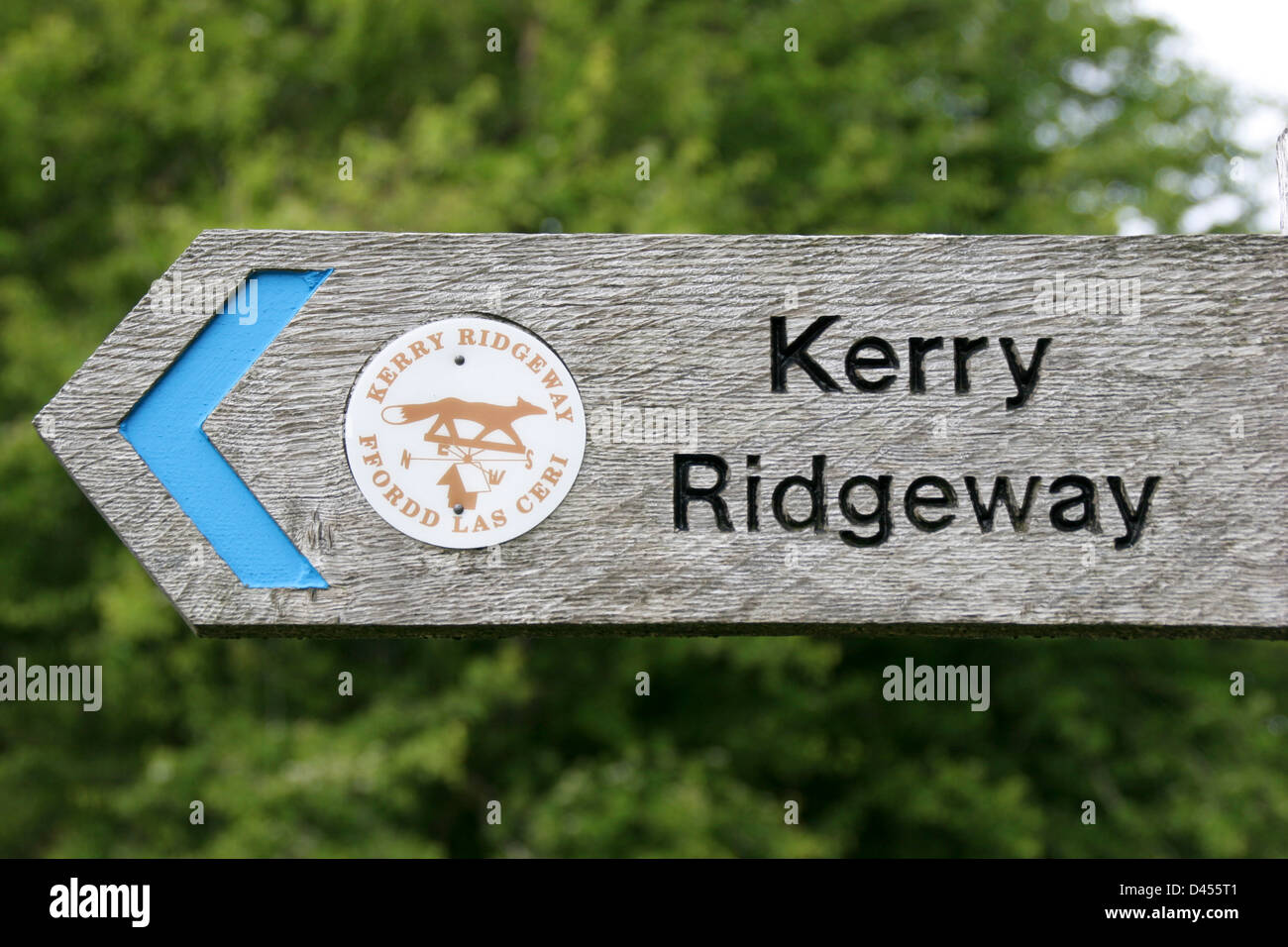 Kerry Ridgeway High Resolution Stock Photography and Images - Alamy