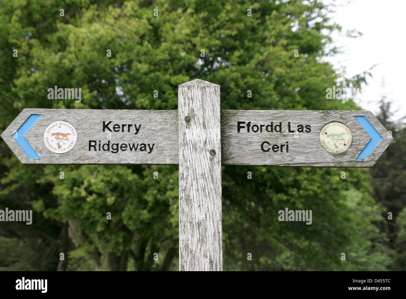 Kerry Ridgeway High Resolution Stock Photography and Images - Alamy