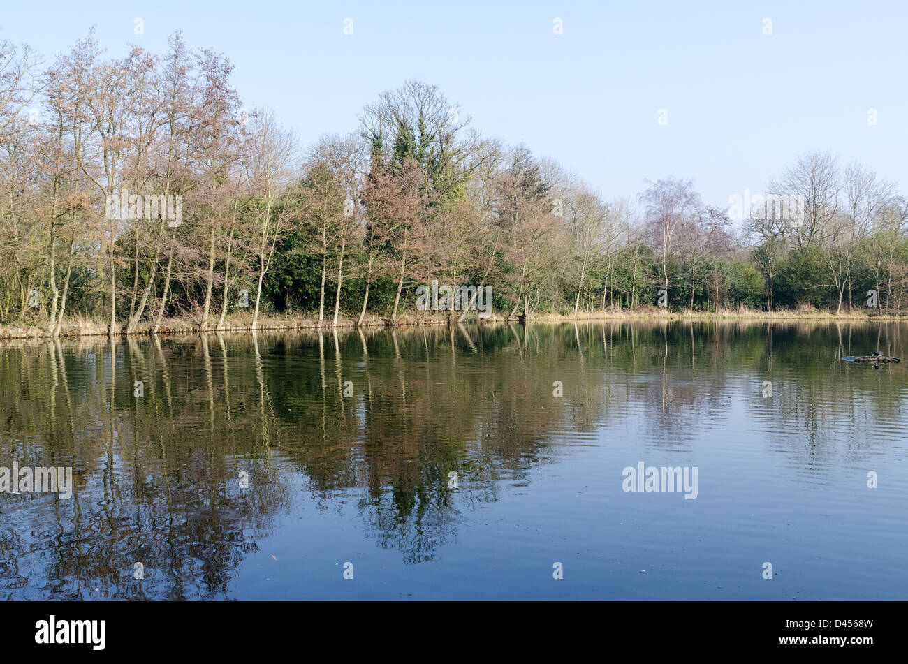 Lake in Priory Woods Local Nature Reserve at Sandwell Valley Country ...