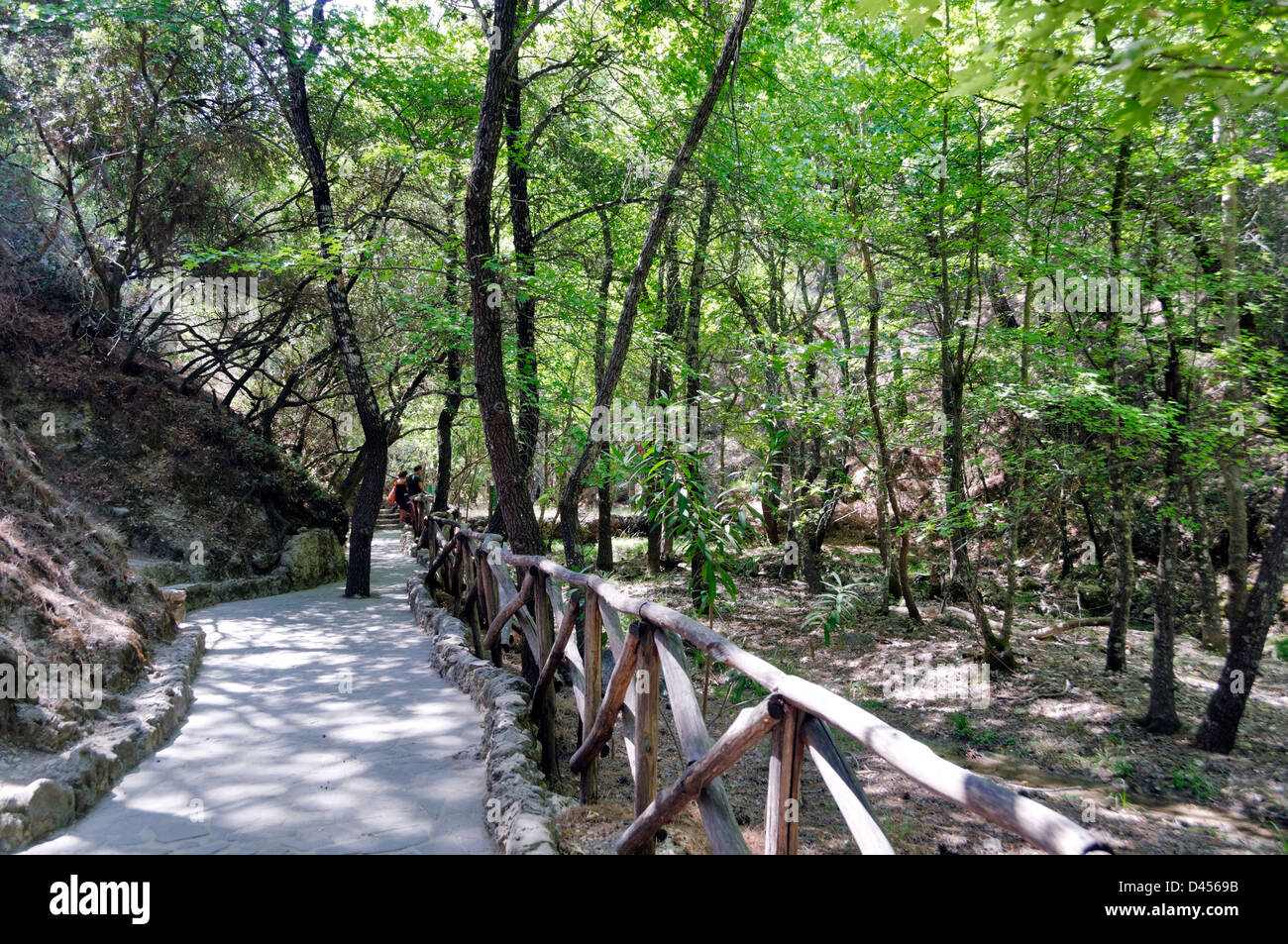 Rhodes. Greece. Rustic, fresh green landscape path in the valley of the ...