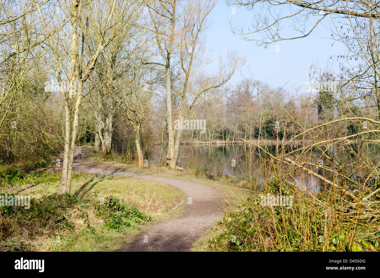 Priory Woods Local Nature Reserve in Sandwell Valley Country Park Stock ...