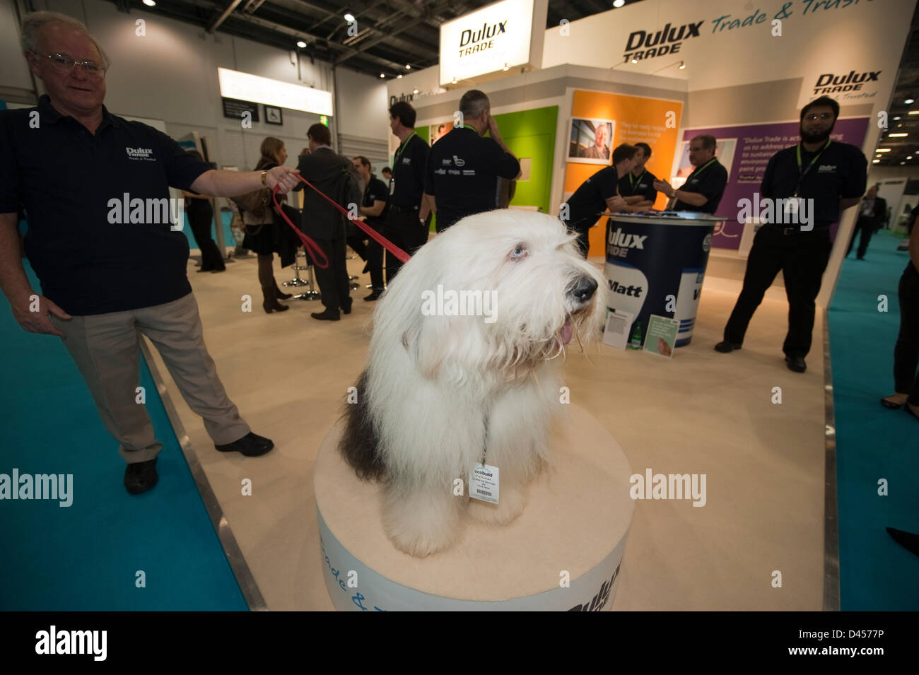 Dulux Logo Dog