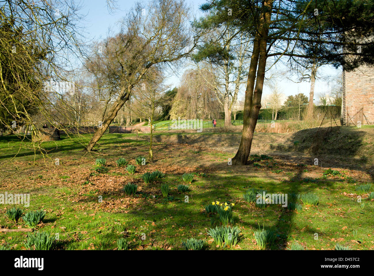 Bute park, cardiff spring hi-res stock photography and images - Alamy