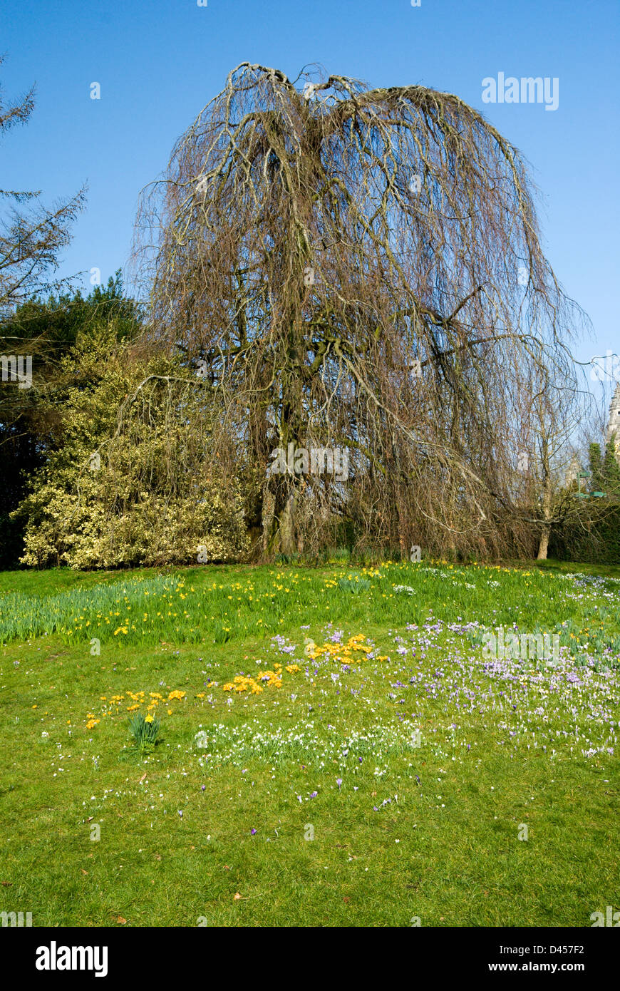 Park at spring hi-res stock photography and images - Alamy
