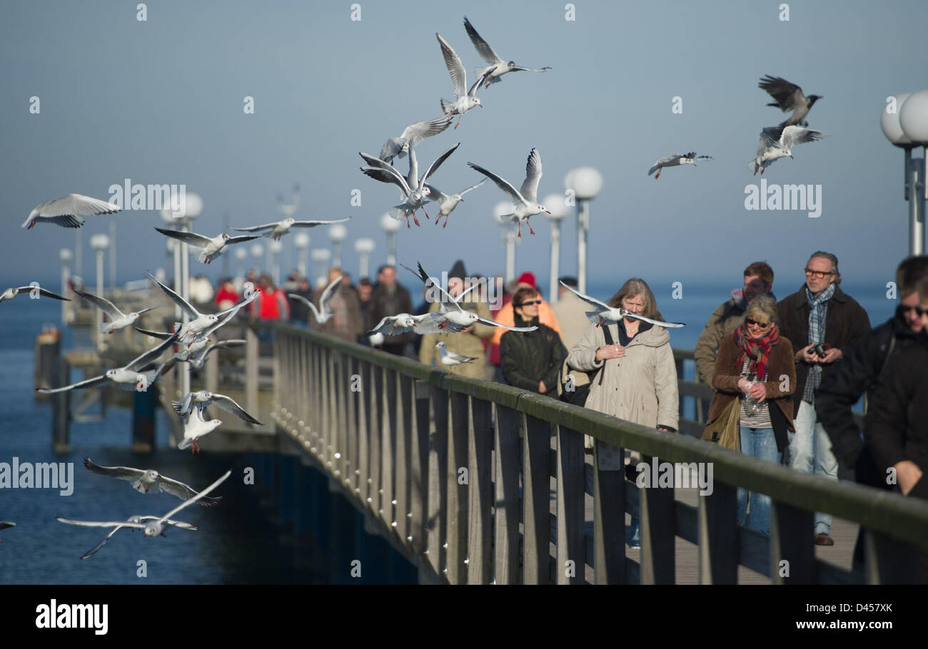 Seagull fly along the pier at the beach on the Baltic Sea in Binz ...