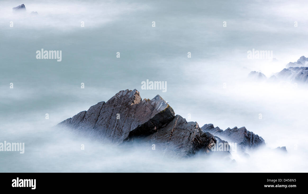 Devon england uk sea stack hi-res stock photography and images - Alamy