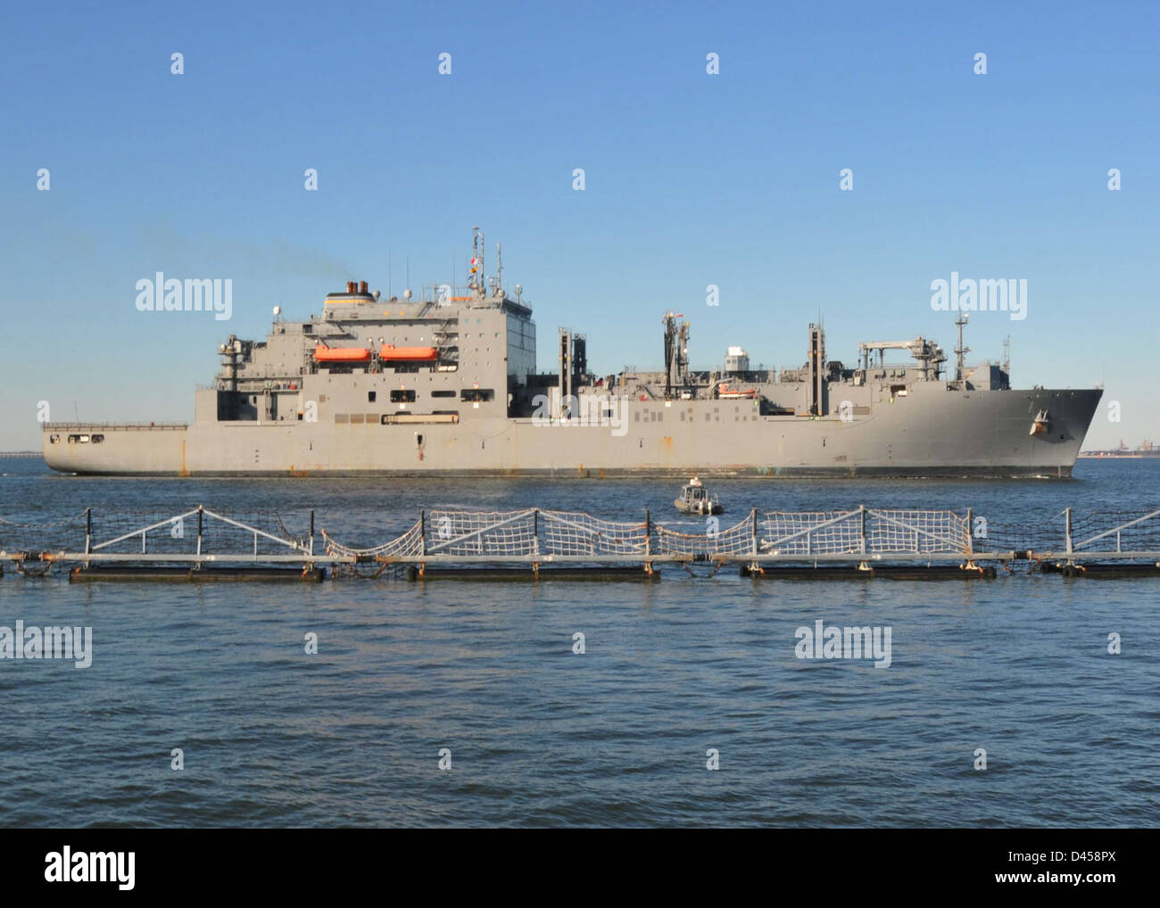 Exercise bold alligator hi-res stock photography and images - Alamy