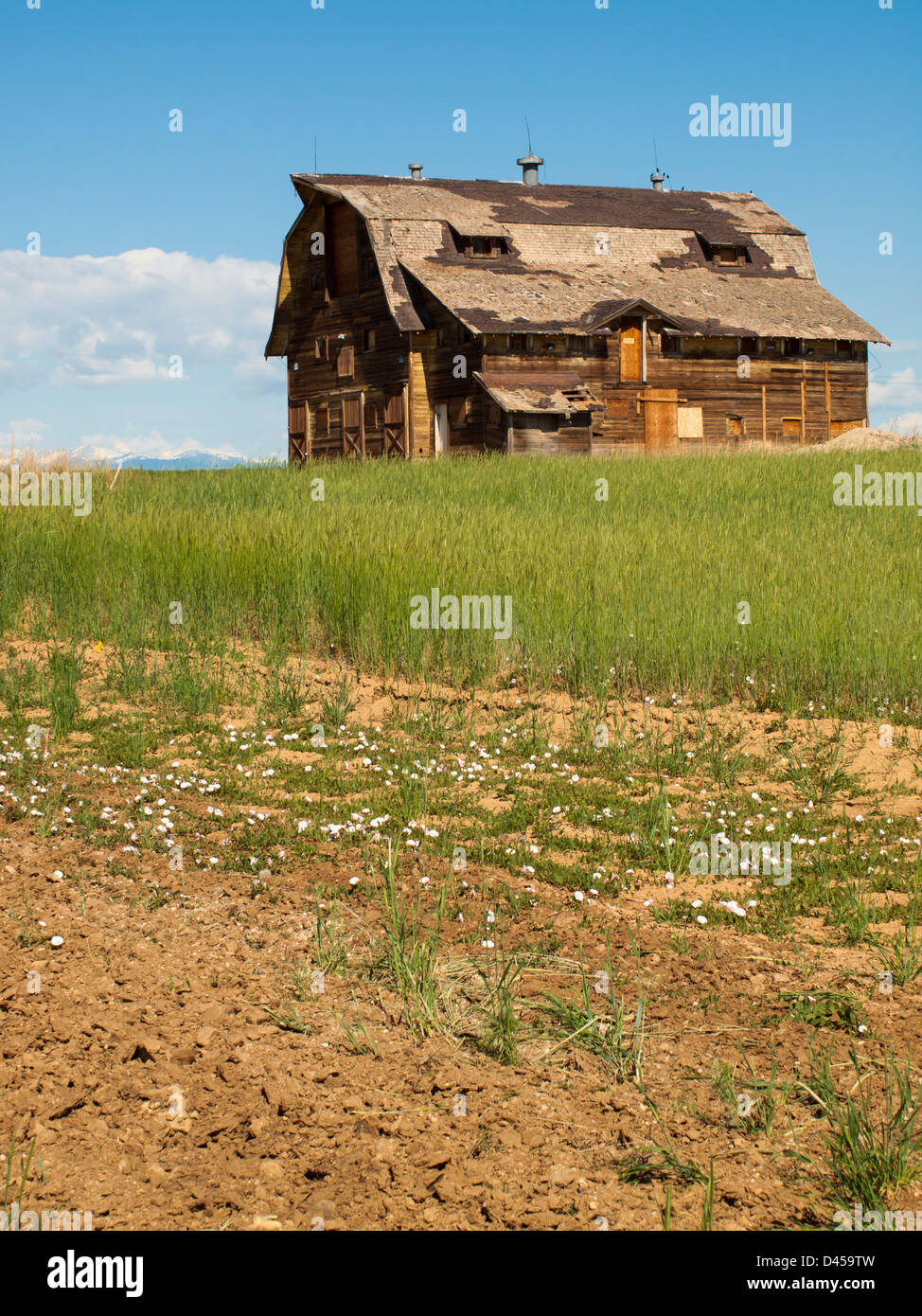 Old barn on abandoned ranch in Colorado Stock Photo - Alamy
