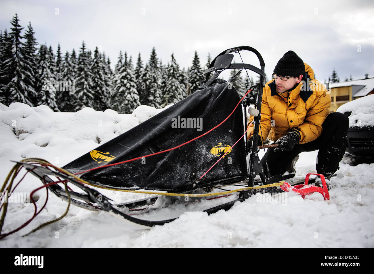 A musher preparing his sled before the competition, Jakuszyce, Poland ...