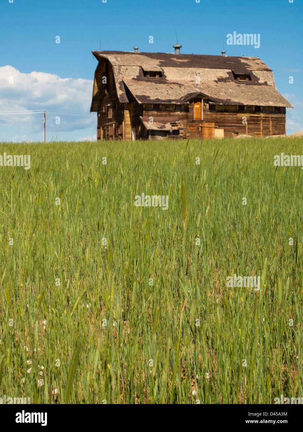 Old barn on abandoned ranch in Colorado Stock Photo - Alamy