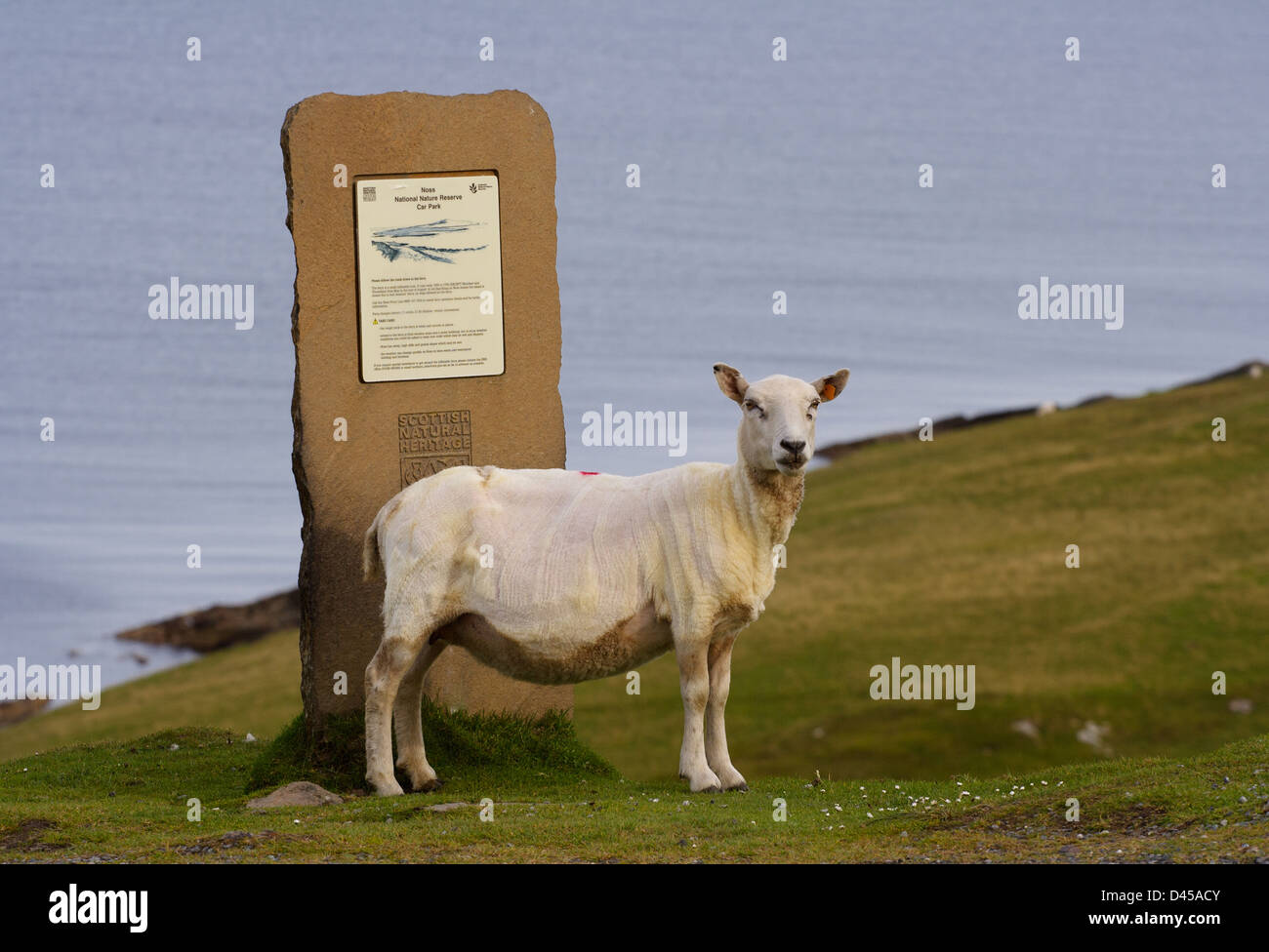 Scottish natural heritage hi-res stock photography and images - Alamy