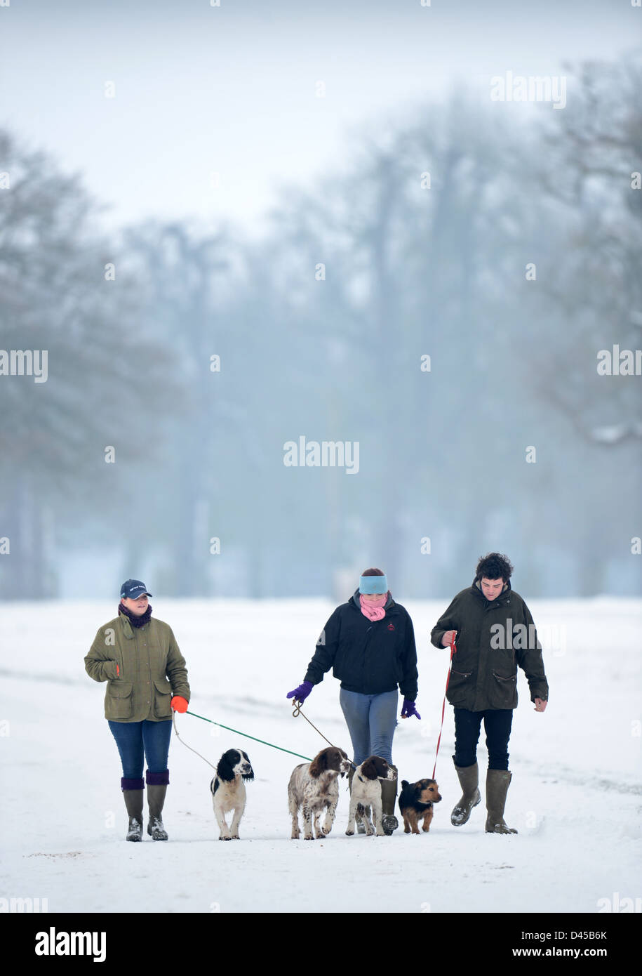 Three young people exercising their dogs in Badminton Park ...