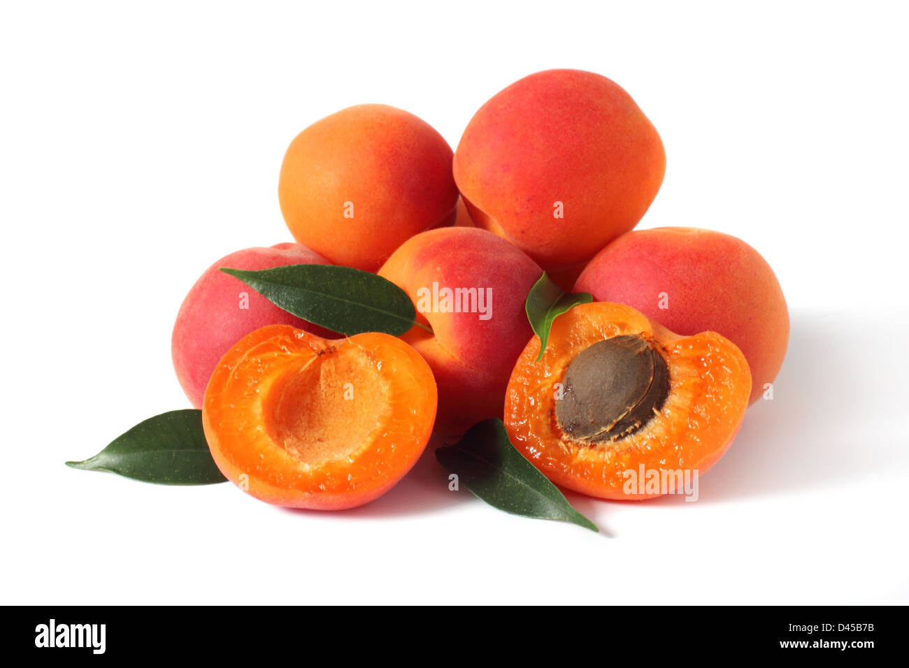 Apricot peach colour hi-res stock photography and images - Alamy