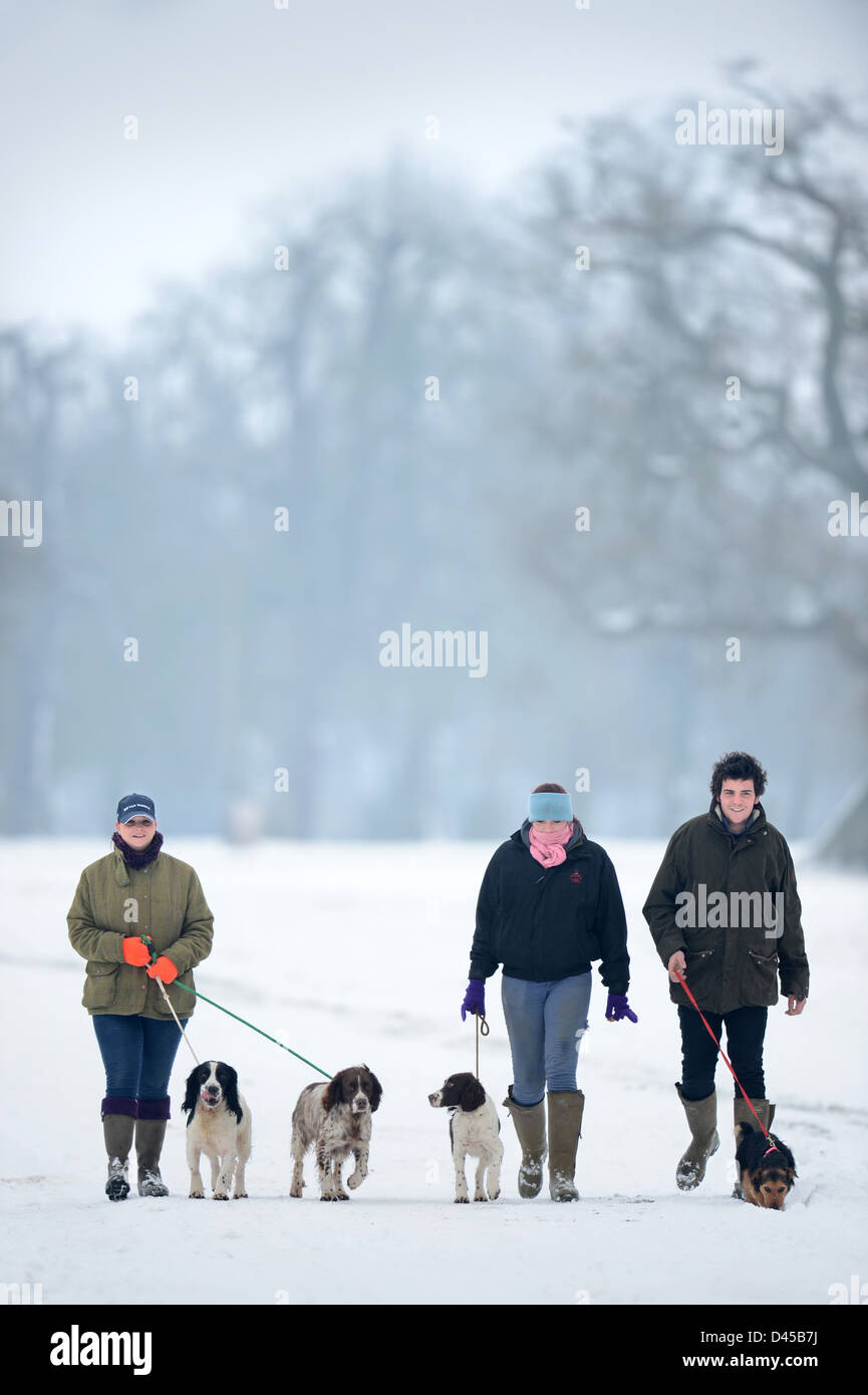 Three young people exercising their dogs in Badminton Park ...