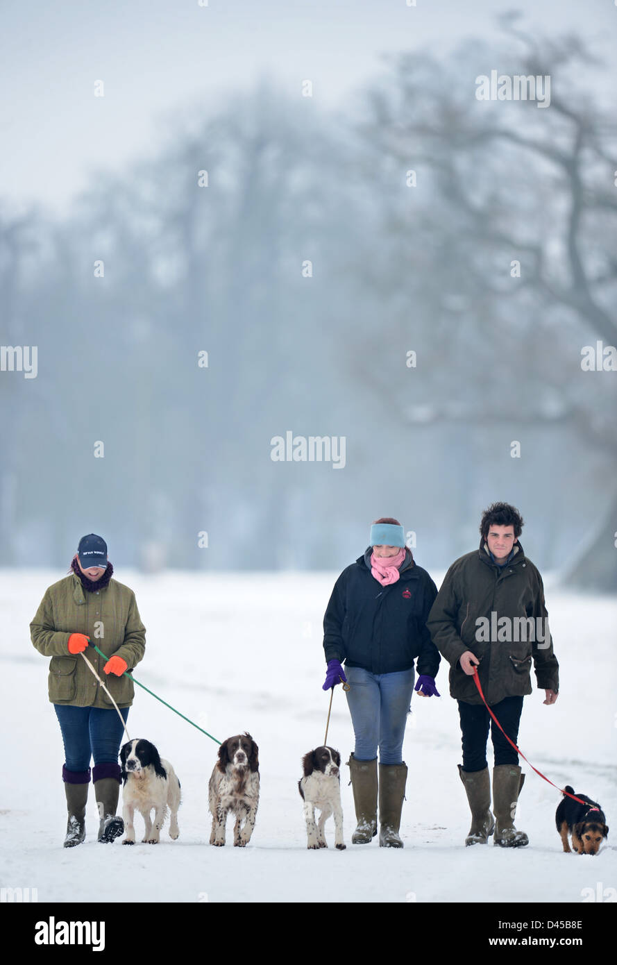 Three young people exercising their dogs in Badminton Park ...