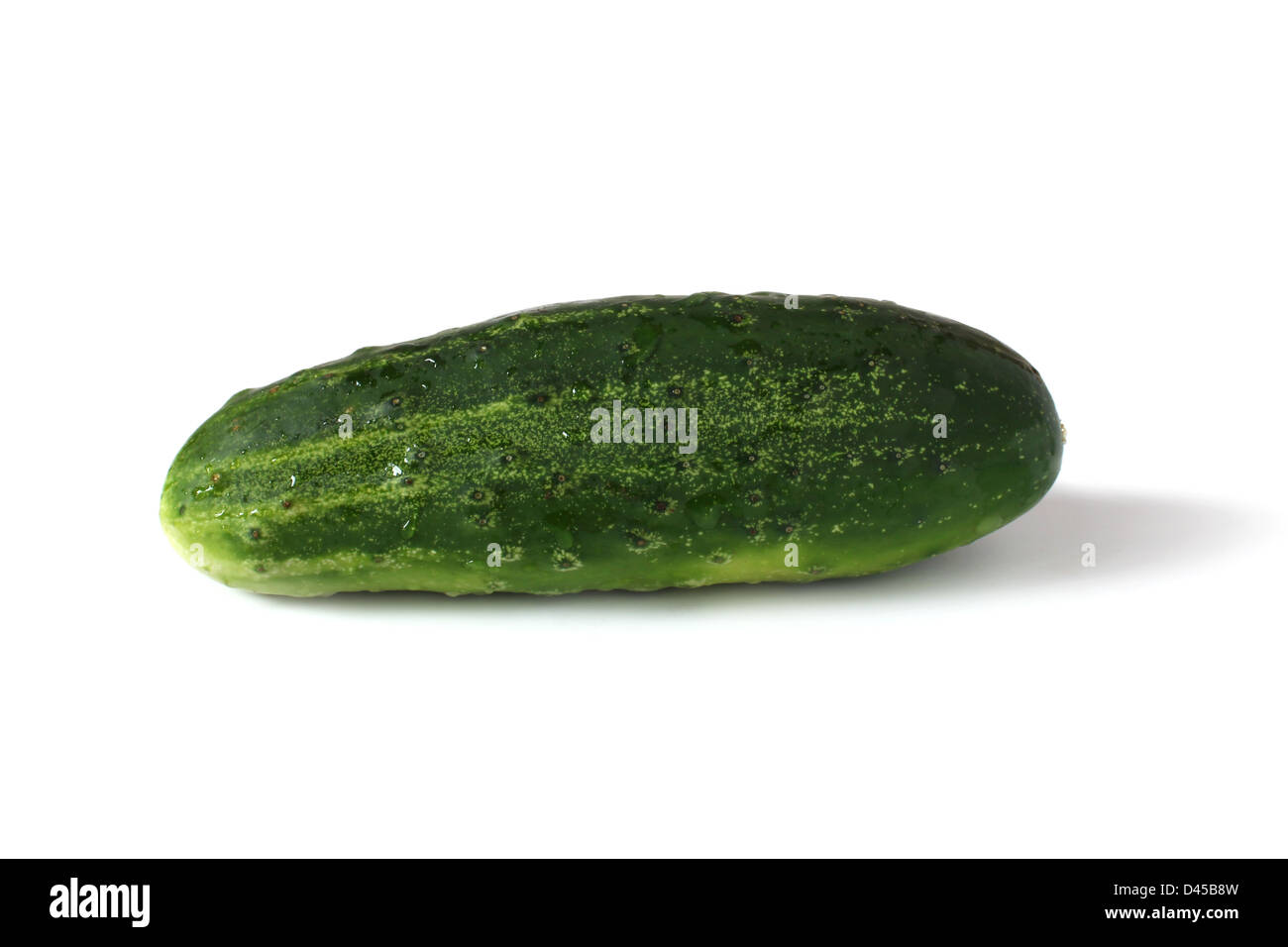 Pimple macro closeup on Cut Out Stock Images & Pictures - Alamy