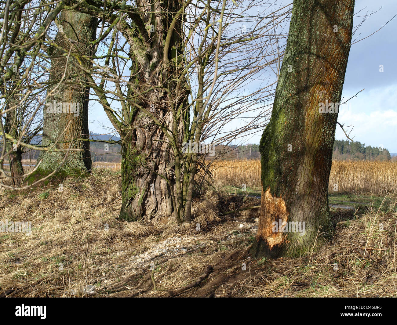 Mark baum hi-res stock photography and images - Alamy