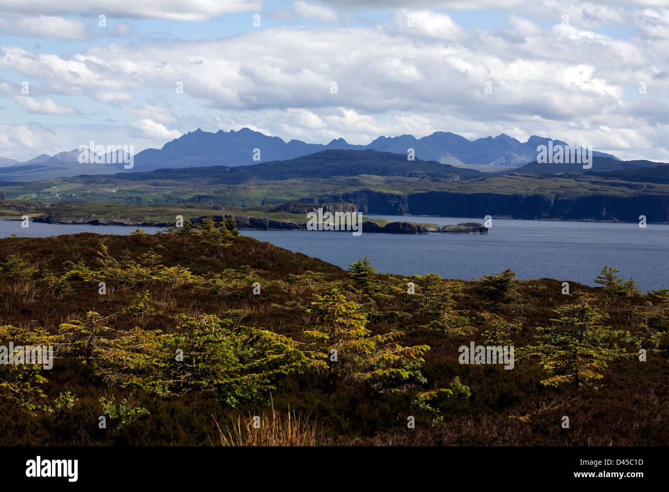 Rebel's wood skye hi-res stock photography and images - Alamy