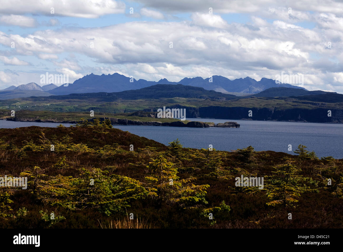 Rebel's wood skye hi-res stock photography and images - Alamy