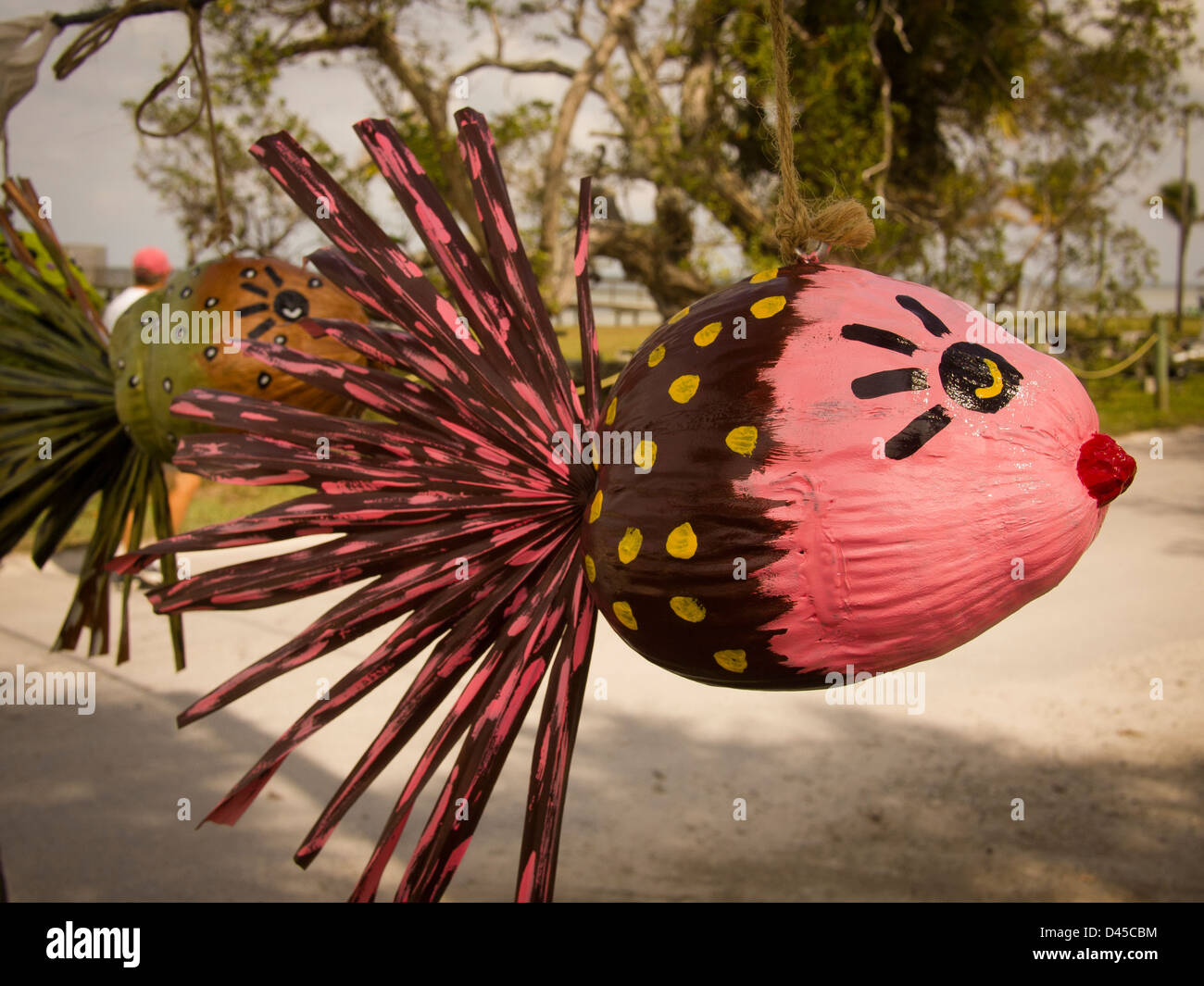 Not affected by red-tide, "coconut fish" had painted by Florida artists ...