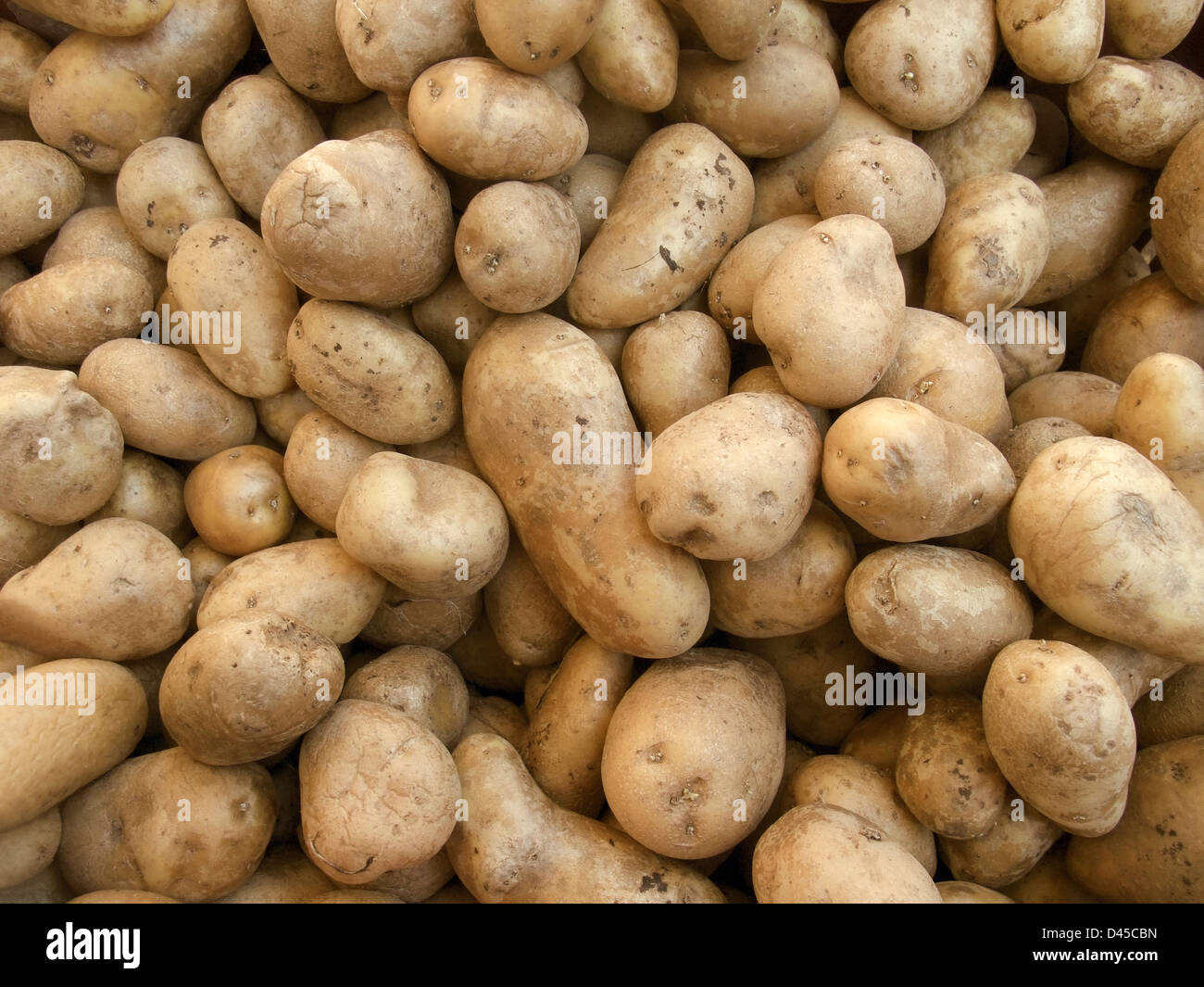 full frame background with lots of potatoes Stock Photo - Alamy