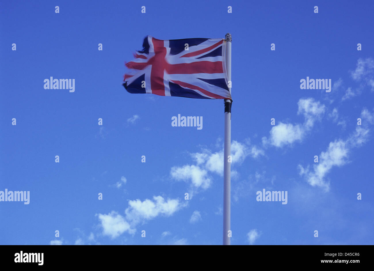 Union Jack flag with windtorn end flapping in breeze on white flagpole ...
