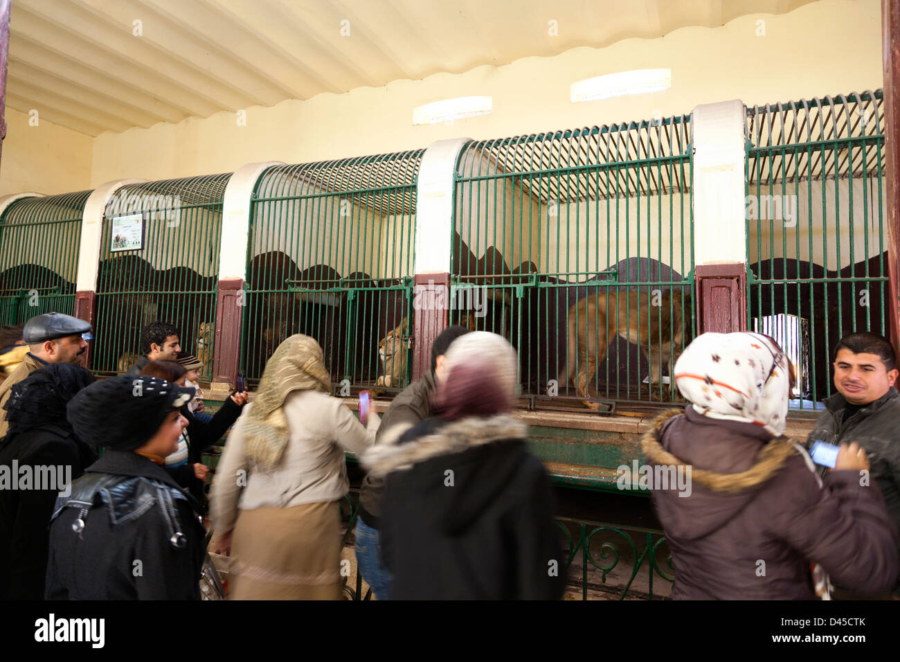 Egypt, Giza, zoo, the lion cages Stock Photo - Alamy