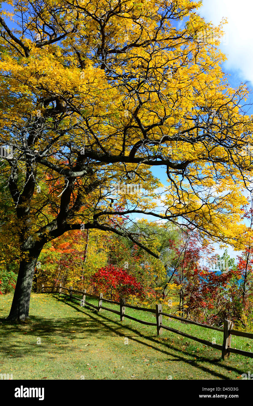 Fenced shoreline with colorful fall leaves autumn trees Michigan Stock ...