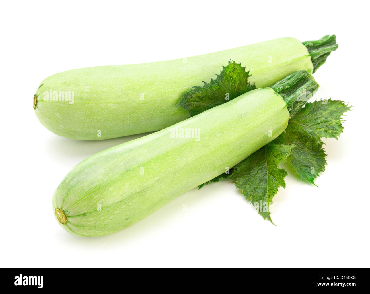 Green zucchini hi-res stock photography and images - Alamy