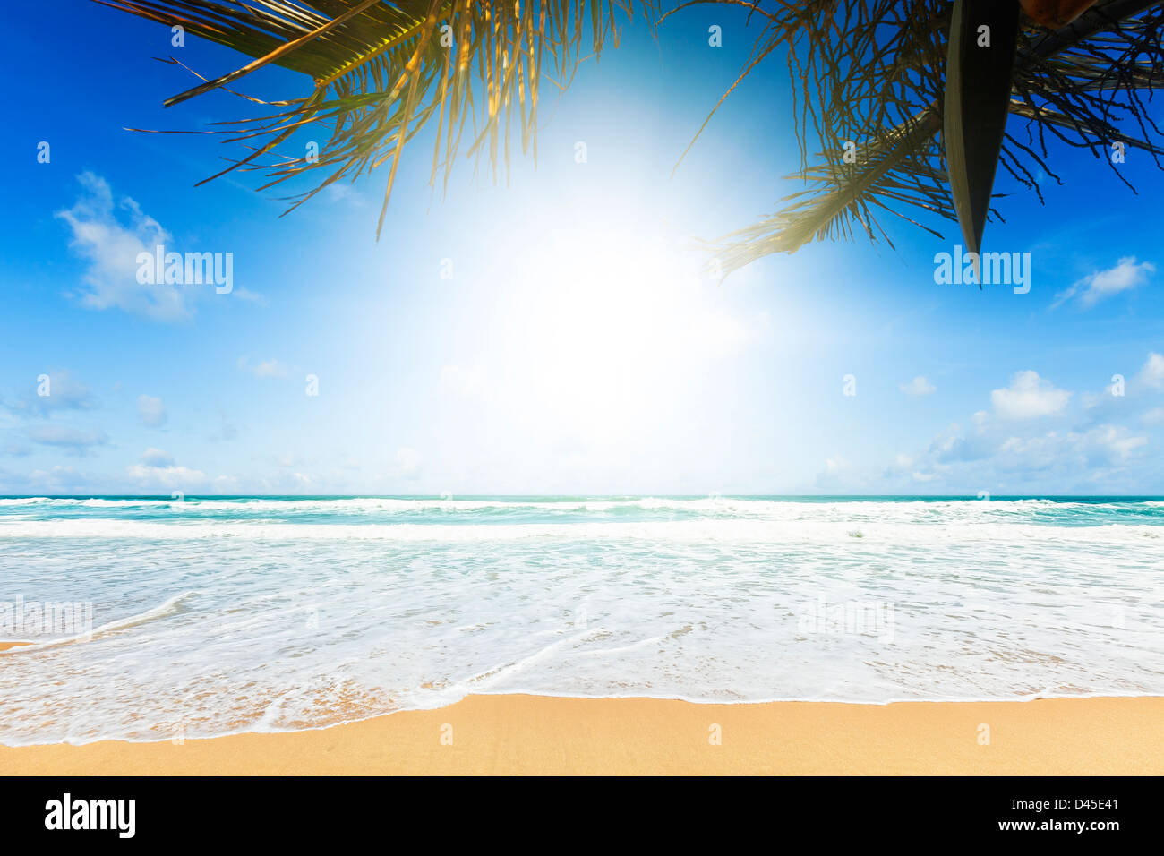 Perfect tropical beach Stock Photo - Alamy