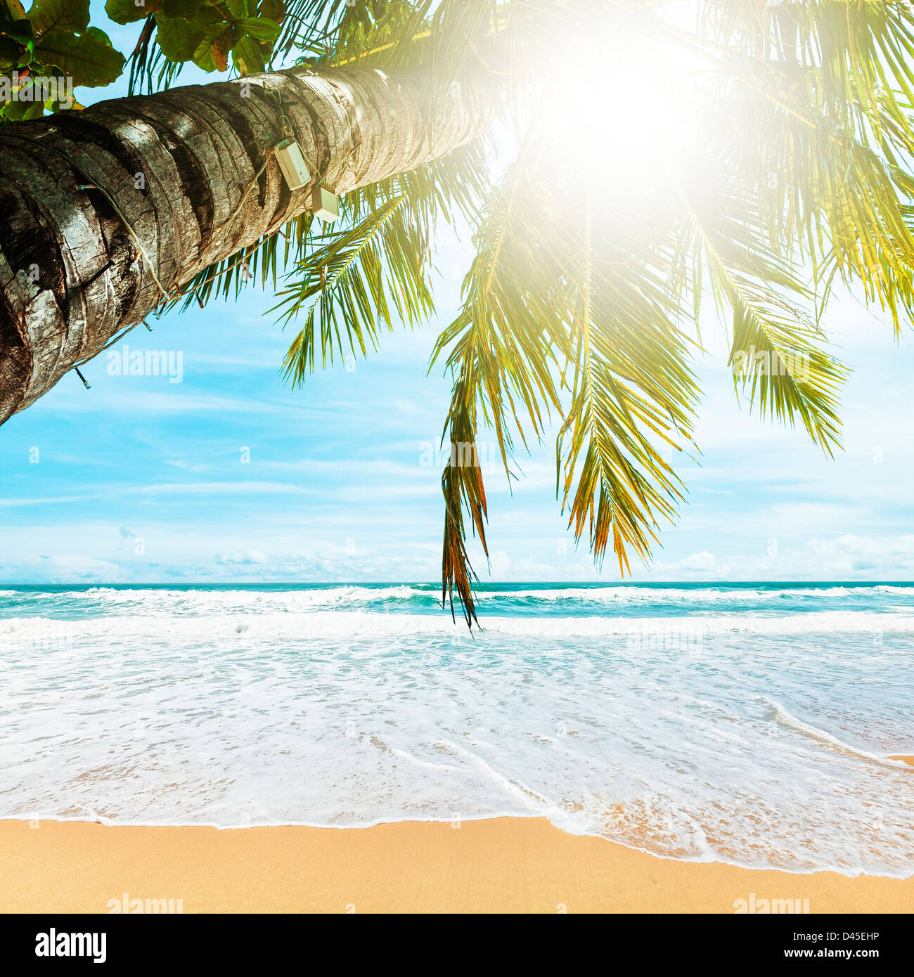 Tropical beach. Square composition Stock Photo - Alamy