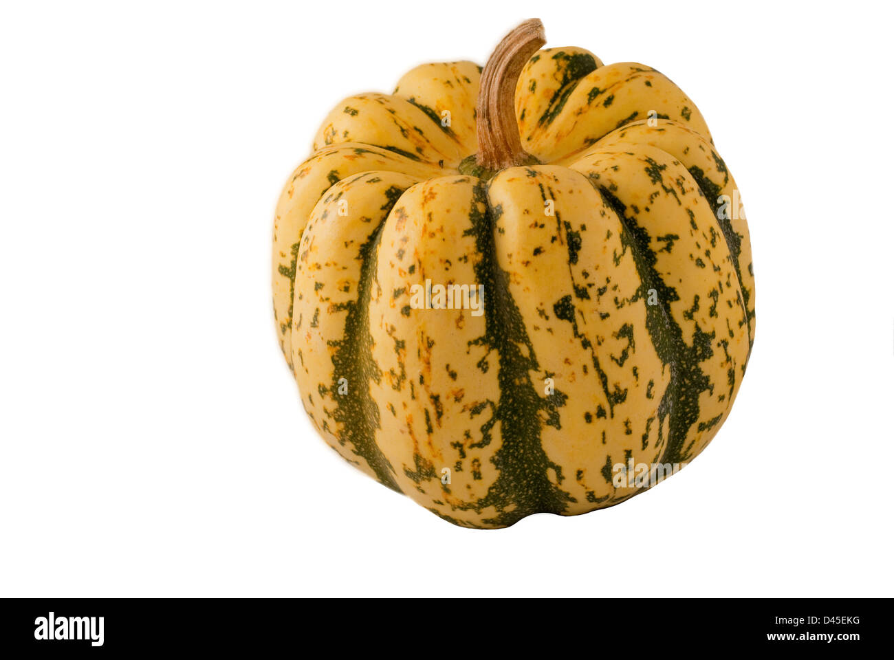 yellow striped squash on a white background Stock Photo - Alamy