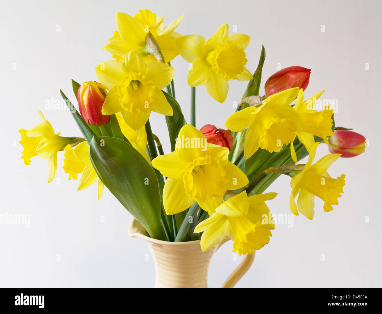 Spring flower arrangement tulips daffodils hi-res stock photography and images - Alamy
