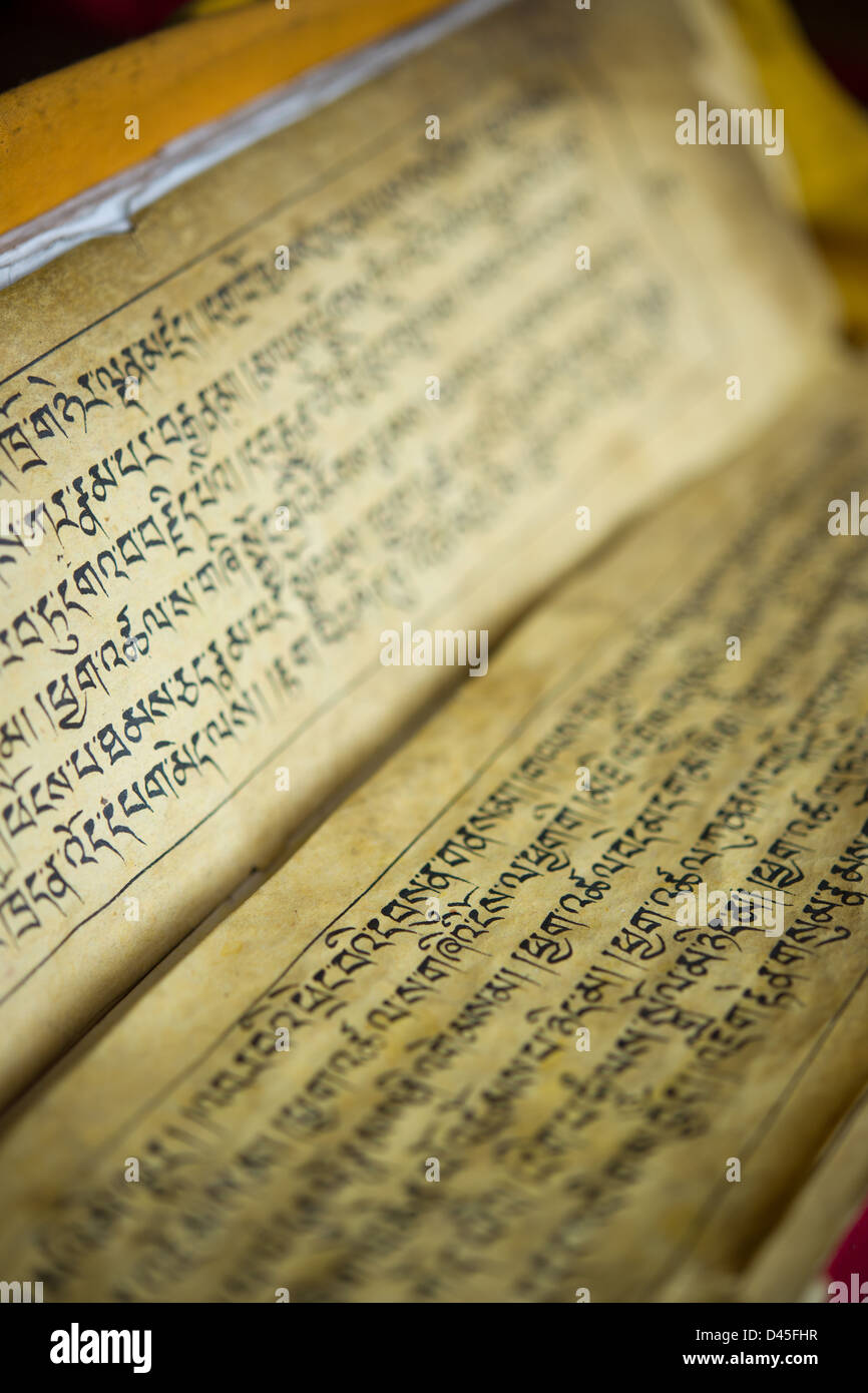 Prayer book in Tibetan script, Spituk Gompa, Leh, (Ladakh) Jammu ...
