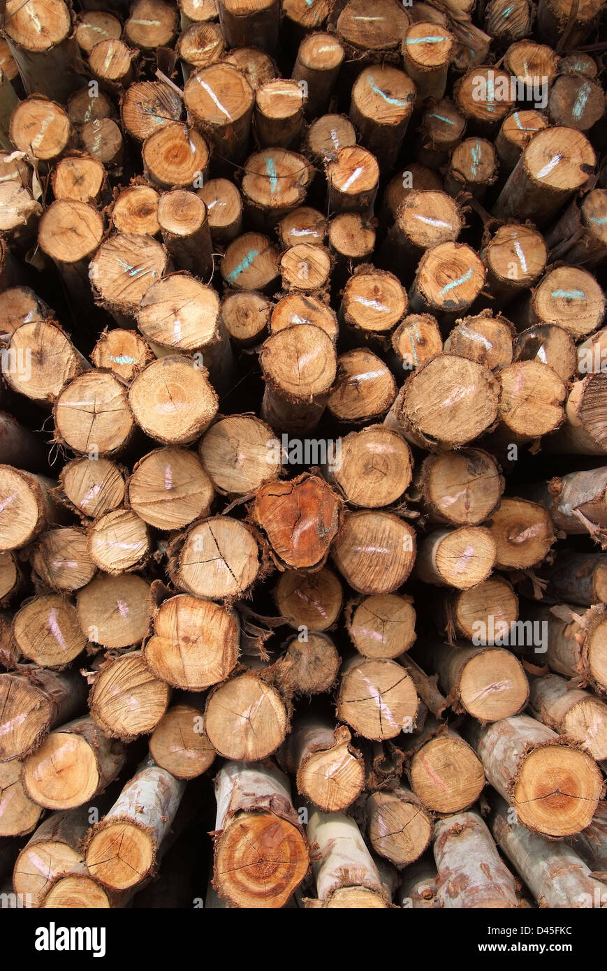 Cut wood texture hi-res stock photography and images - Alamy