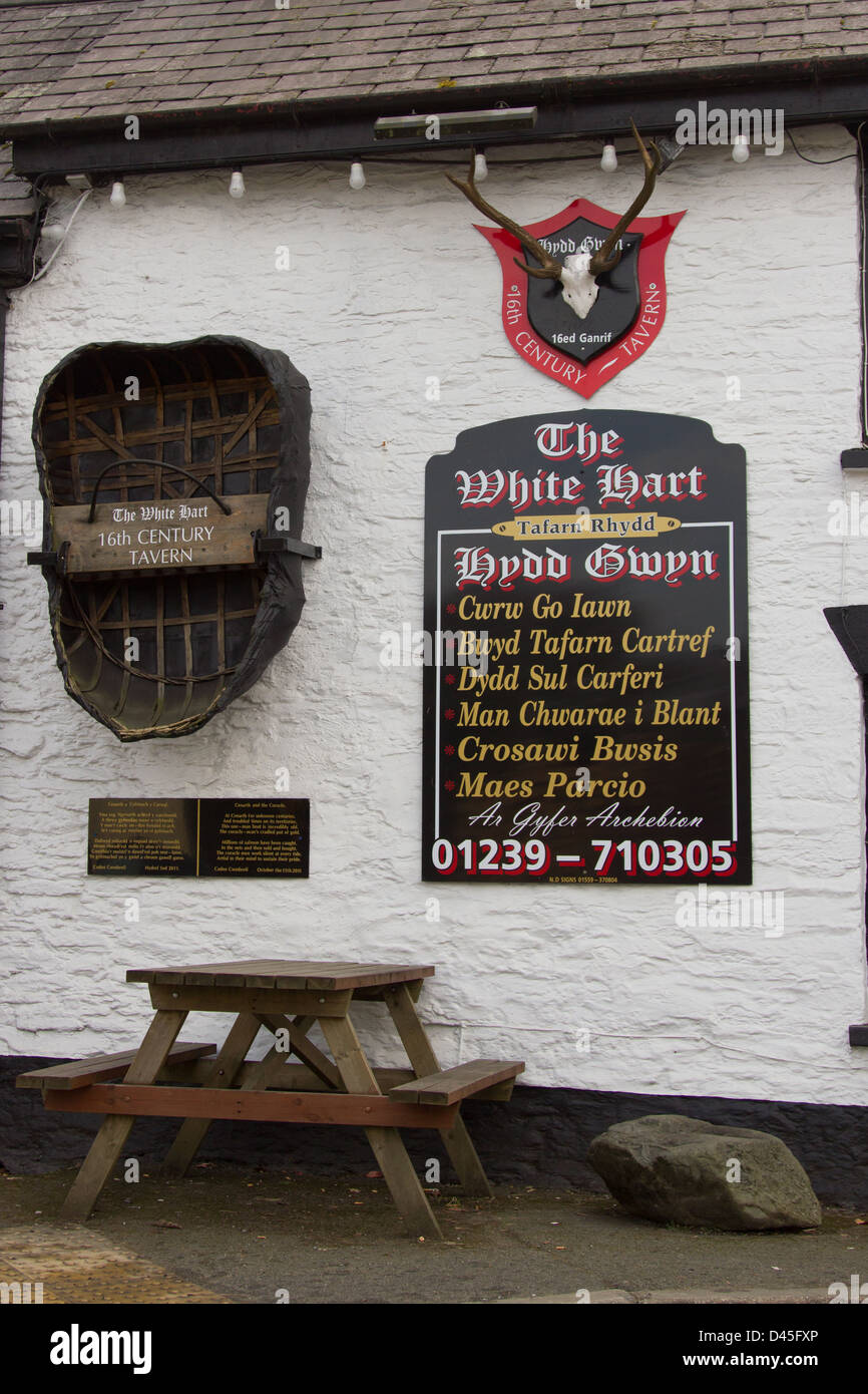 WHite Hart inn - Y Hydd Gwyn, Cenarth, with coracle hanging outside ...