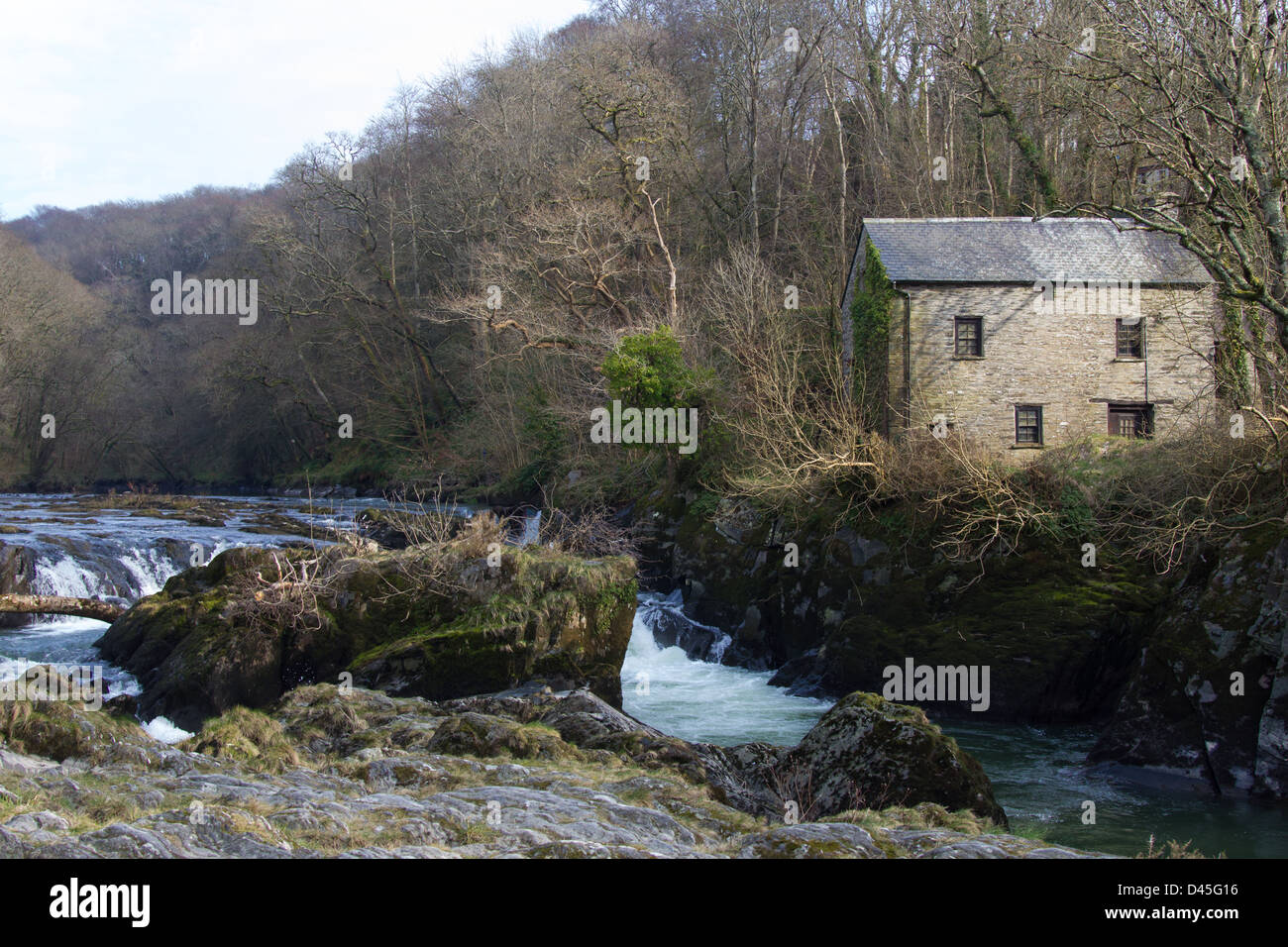Cenarth falls hi-res stock photography and images - Alamy