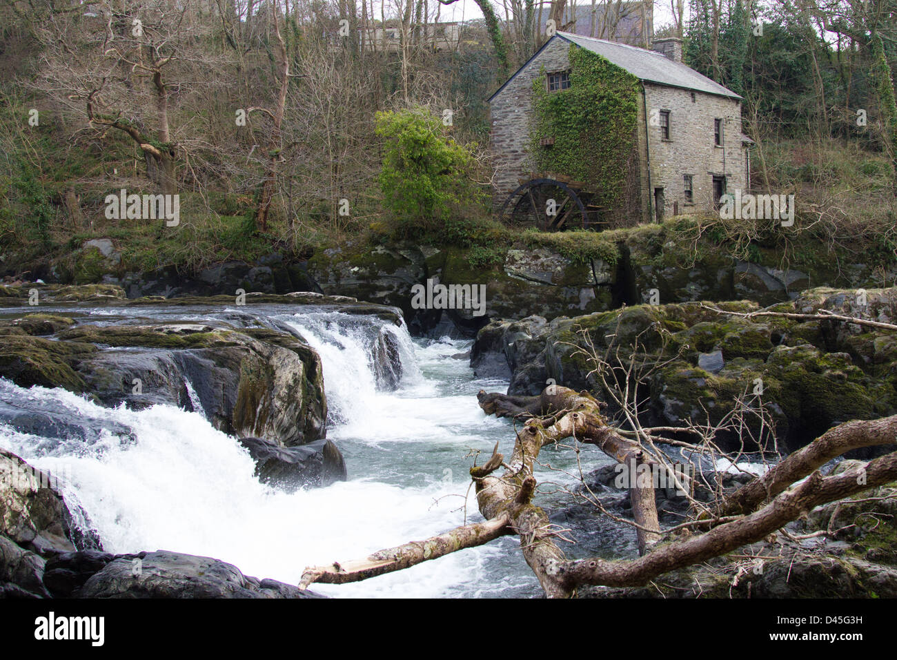 Cenarth falls hi-res stock photography and images - Alamy