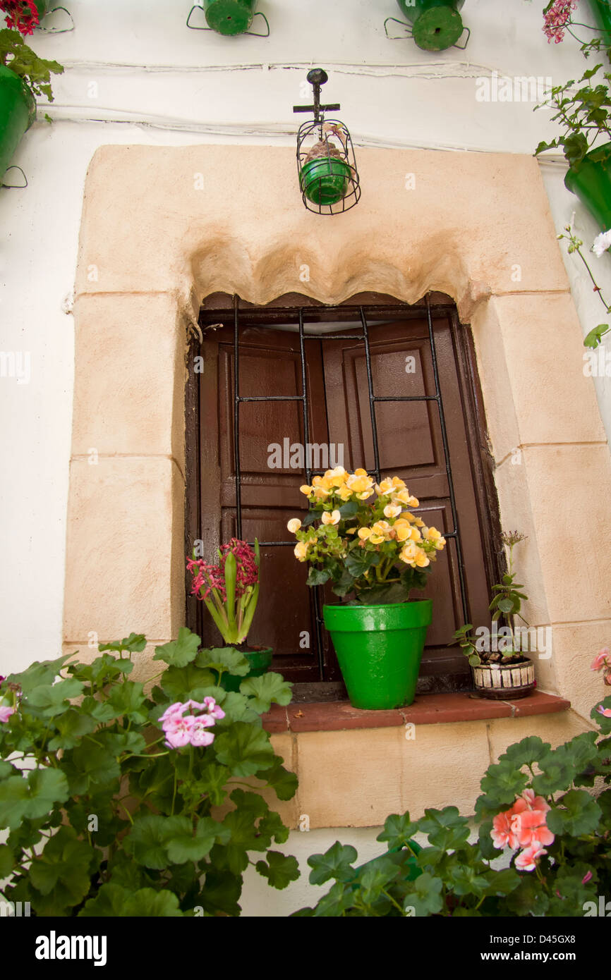 Decorated wall pot flowers hi-res stock photography and images - Alamy
