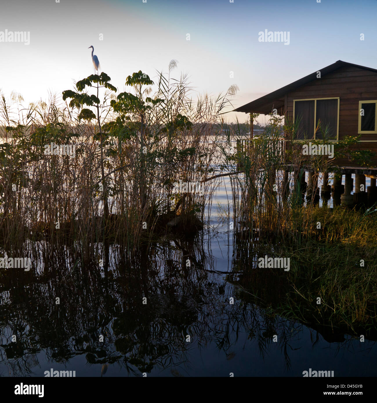 Lake Izabal, Guatemala Stock Photo - Alamy