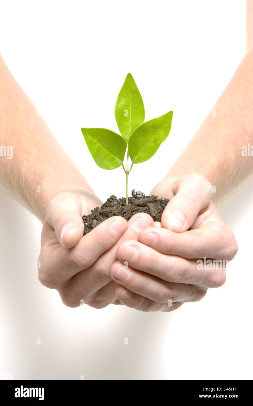 Handful soil young plant hi-res stock photography and images - Alamy